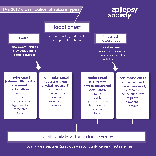 Epileptic seizures | Epilepsy Society